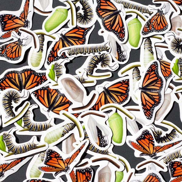 Caterpillar Stickers - Etsy
