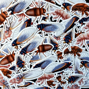 Cicada Sticker Pack Waterproof Vinyl Decal Insect Stationery Gift for ...