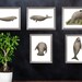 Dugong Art Prints Sea Cow Illustration Marine Mammal Decor Coastal ...