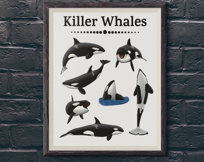 Killer Whale UNFRAMED Print Orca Print Marine Poster Killer Whale Wall ...