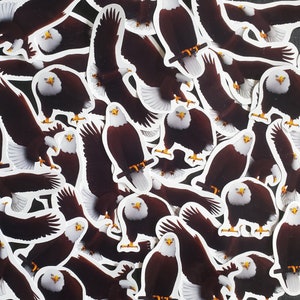 Bald Eagle Sticker Pack Bird of Prey Decals Waterproof Vinyl American ...