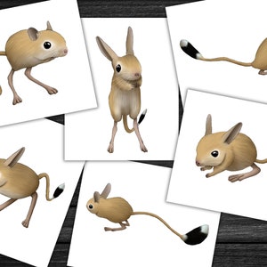 Jerboa Art Prints Desert Animal Wall Decor Rodent Illustration Modern ...