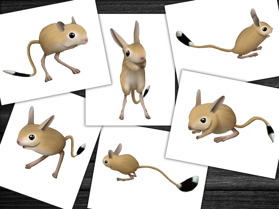 Desert Rodent