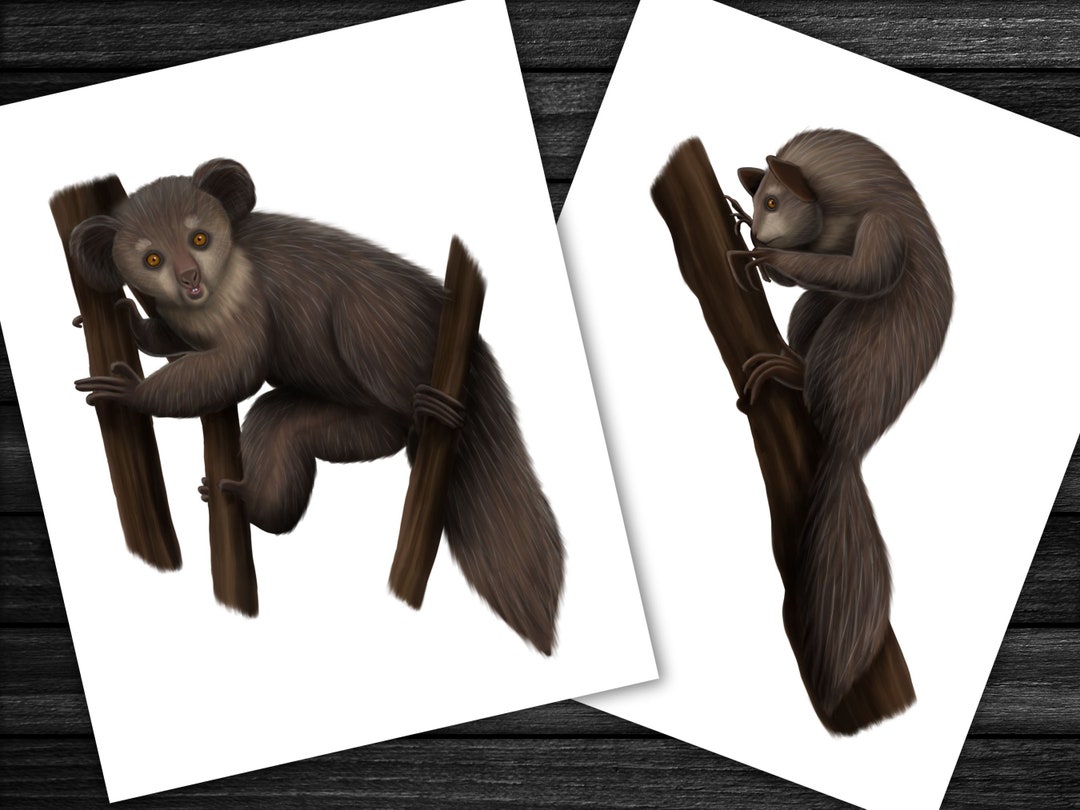 Aye-aye Art Print Set Madagascar Wildlife Modern Home Decor Endangered ...