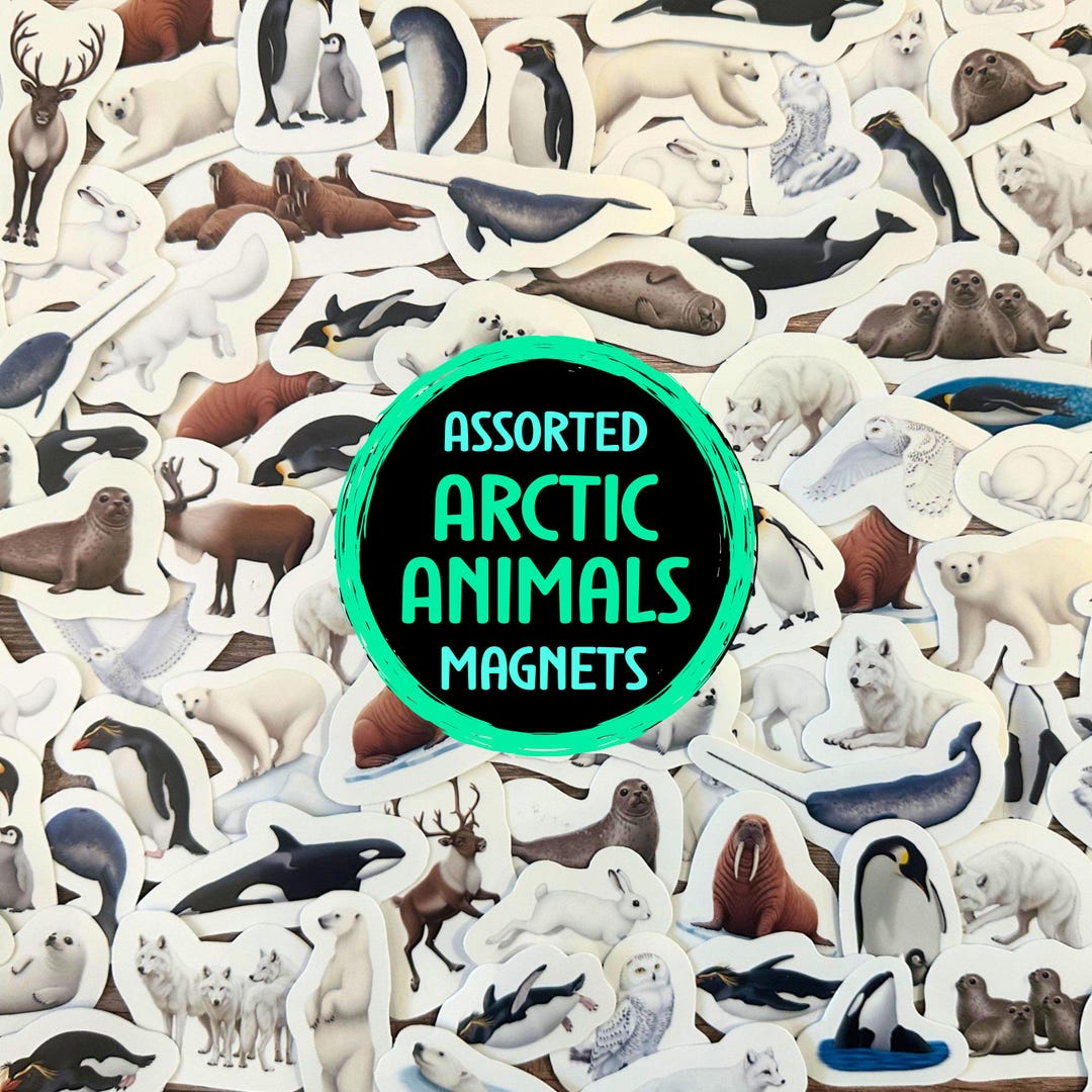 Arctic Animal Magnet Pack Polar Wildlife Refrigerator Magnets Arctic ...