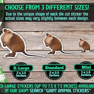 Quokka Sticker Pack Smiling Quokka Vinyl Decals Australian Wildlife ...