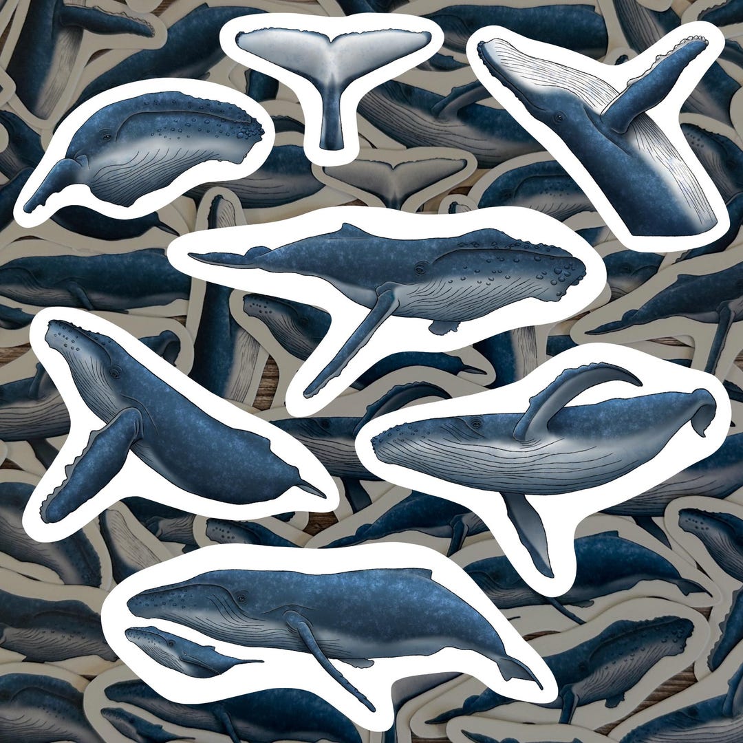 Humpback Whale Sticker Pack Vinyl Decal Ocean Creatures Stationary Sea ...