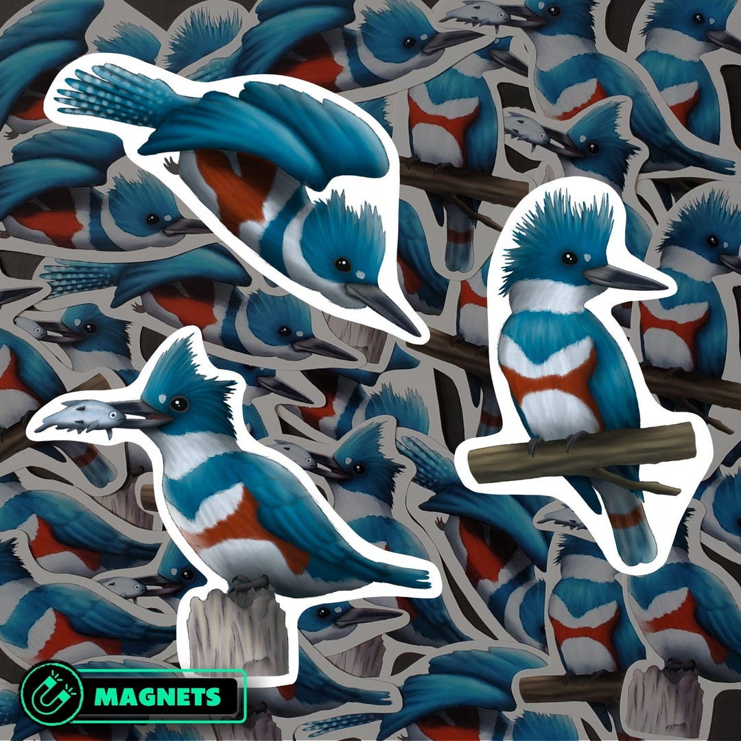 Kingfisher Magnets, Animal Magnet Pack, 3 Pcs, Belted Kingfisher Home ...