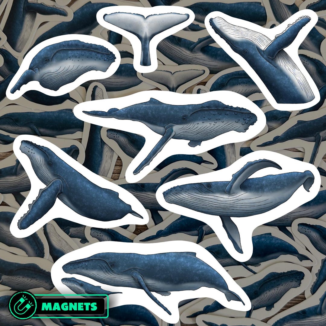 Humpback Whale Magnet Pack Ocean Creatures Fridge Decor Vinyl Sea Life ...