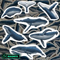 Orca Magnet Set Killer Whale Waterproof Vinyl Magnets for Refrigerator ...