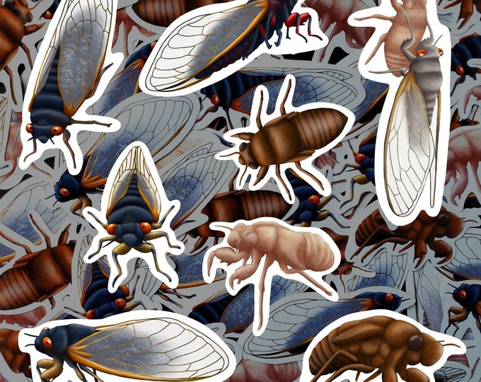 Cicada Sticker live Fast, Die Loud, and Leave a Beautiful Exoskeleton ...