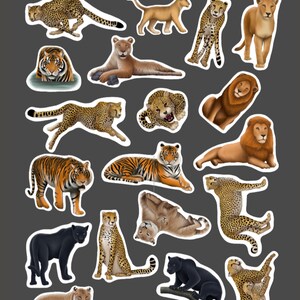 Big Cat Stickers, Mini Sticker Pack, Wildlife Stationary, Water Proof ...