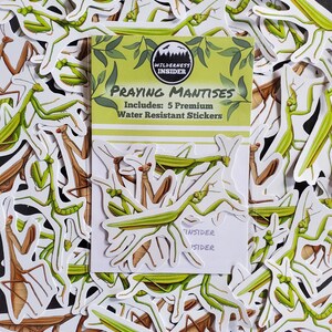 Praying Mantis Sticker Pack Insect Decal Entomology Vinyl Waterproof ...