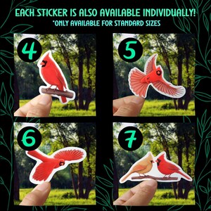Cardinal Sticker Set Red Bird Decals Birdwatcher Gift Waterproof Vinyl ...