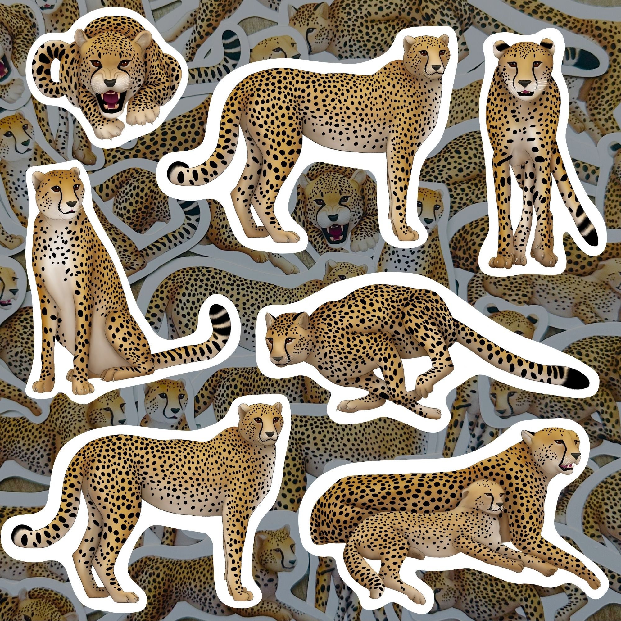 Cheetah Sticker Pack Waterproof Vinyl Decal Safari Wildlife Stationery ...