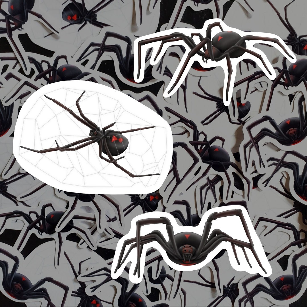 Black Widow Spider Sticker Pack Arachnid Decals Waterproof Vinyl Spider ...