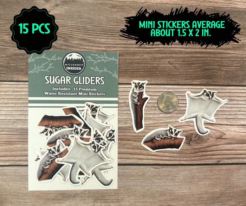 Sugar Glider Sticker Pack Cute Animal Decals Waterproof Vinyl - Etsy