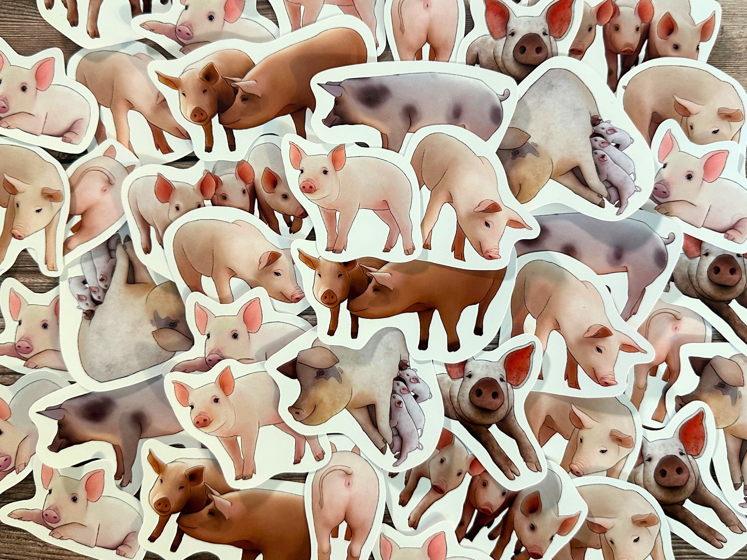 Pig Sticker Pack Farm Animal Cute Piggy Illustrations Waterproof Vinyl ...