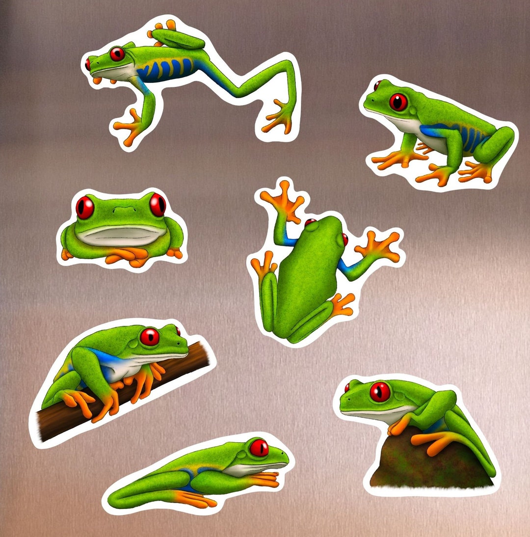 Tree Frog Magnet Set Waterproof Vinyl Animal Magnets for Refrigerator ...