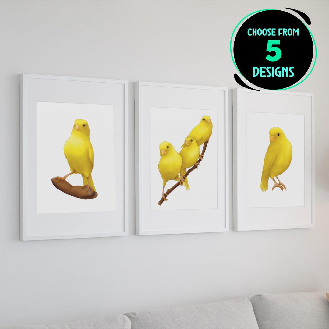 Canary Print Set Yellow Bird Modern Wall Art Songbird Illustration ...