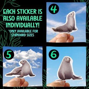 Sea Lion Sticker Pack Waterproof Vinyl Decal Marine Mammal Stationery ...
