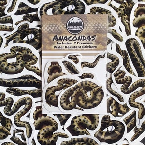 Anaconda Sticker Pack Rainforest Waterproof Vinyl Decal Jungle Wildlife ...