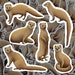 Yellow Mongoose Sticker Pack African Wildlife Decals Waterproof Vinyl ...