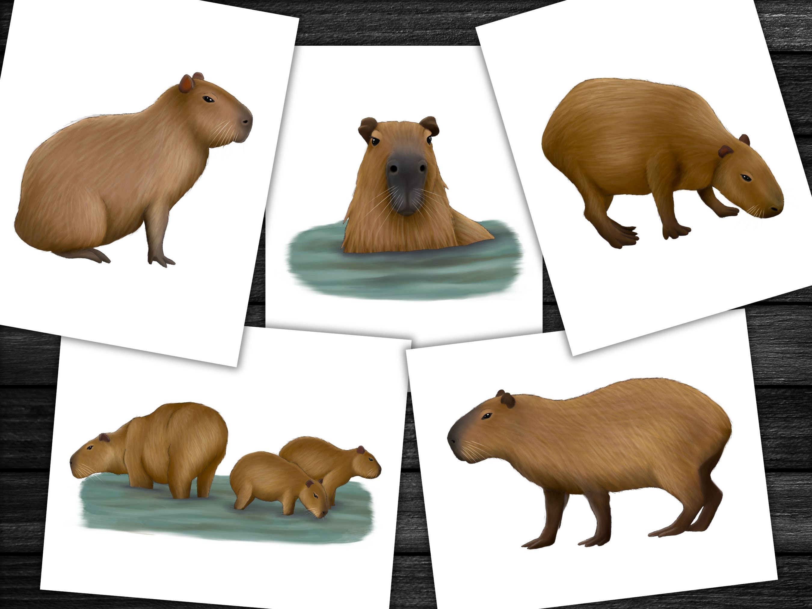 Capybara Prints / Capybara Wall Art / Capybara Collection / Animal ...