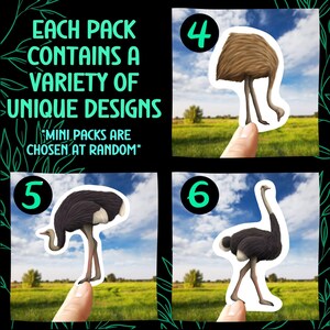 Ostrich Sticker Pack Waterproof Vinyl African Bird Decals Savanna ...