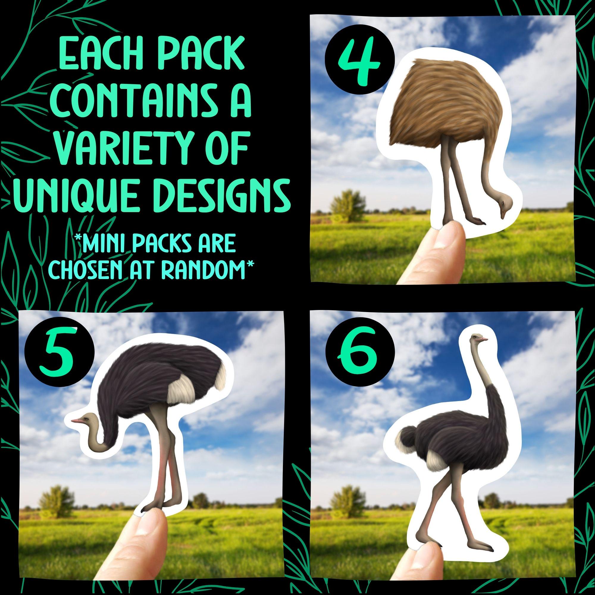 Ostrich Sticker Pack Waterproof Vinyl African Bird Decals Savanna ...