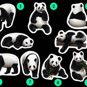 Giant Panda Sticker Pack Bear Decals Endangered Species Vinyl Stickers ...