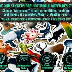 Big Cat Stickers, Mini Sticker Pack, Wildlife Stationary, Water Proof ...