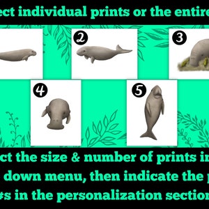 Dugong Art Prints Sea Cow Illustration Marine Mammal Decor Coastal ...