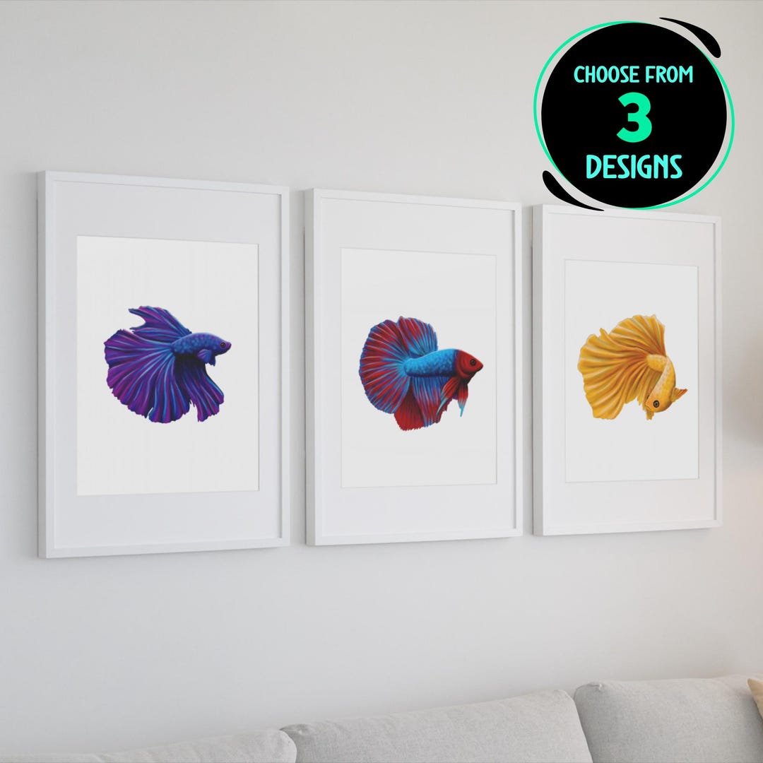 Betta Fish Print Set Siamese Fighting Fish Wall Decor Colorful Aquarium ...