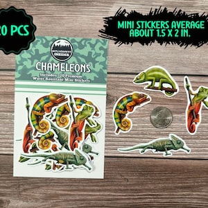 Chameleon Sticker Pack Reptile Decals Colorful Lizard - Etsy