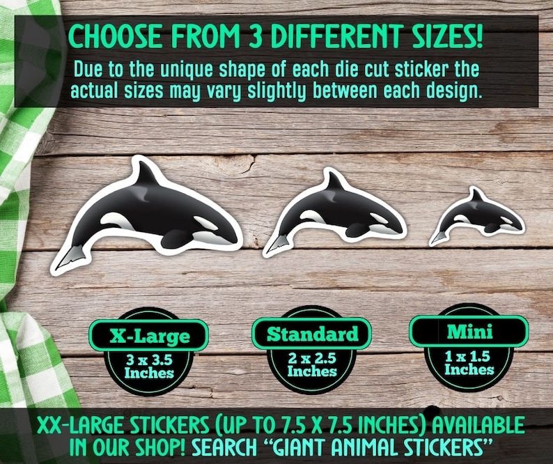 Orca Sticker Pack Killer Whale Vinyl Decal Marine Life Stationery Gift ...
