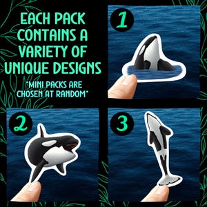 Orca Magnet Set Killer Whale Waterproof Vinyl Magnets for Refrigerator ...
