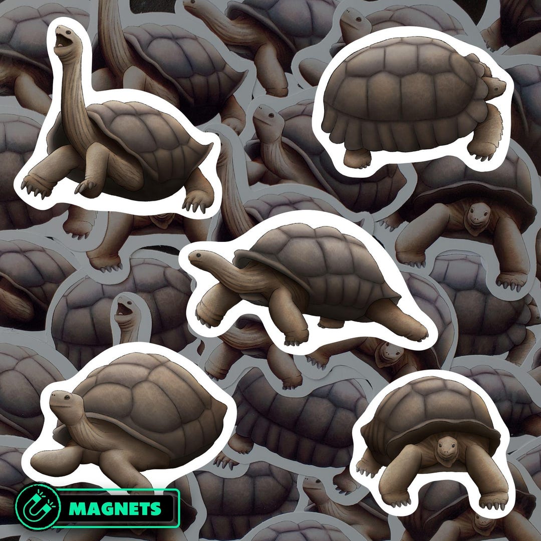 Giant Tortoise Magnet Set Waterproof Vinyl Turtle Magnets for Fridge ...