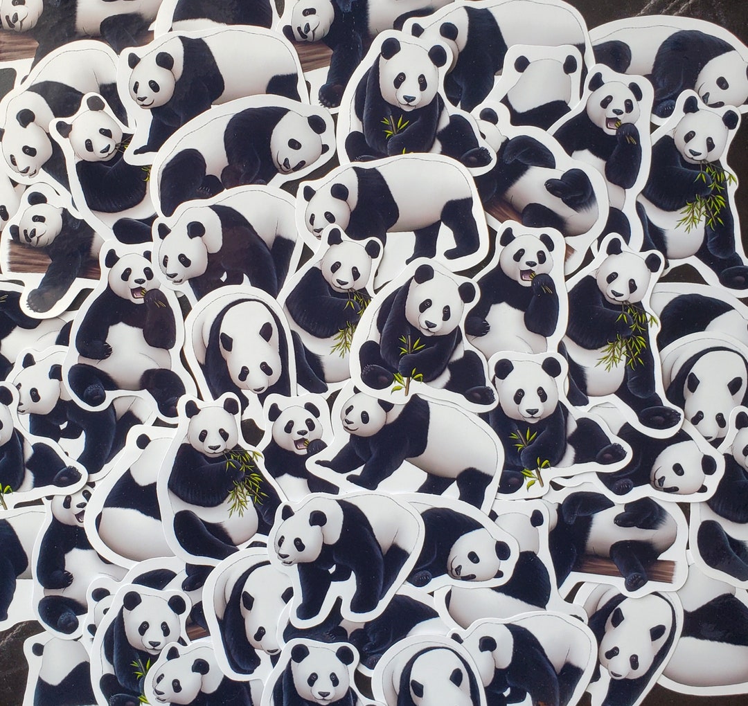 Giant Panda Stickers Cute Animal Sticker Pack Panda Bear - Etsy