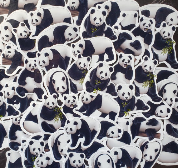 Giant Panda Stickers Cute Animal Sticker Pack Panda Bear - Etsy