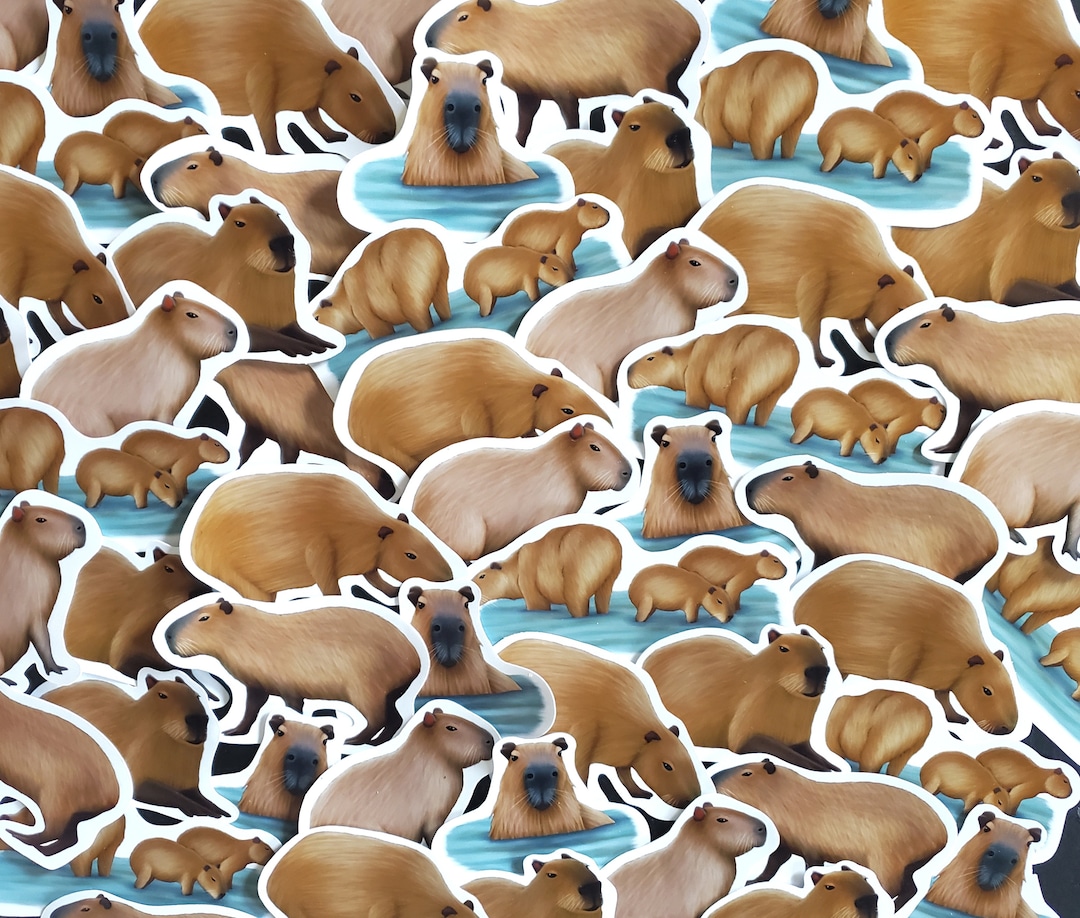 Capybara Stickers Capybara Sticker Pack Animal Stationary - Etsy