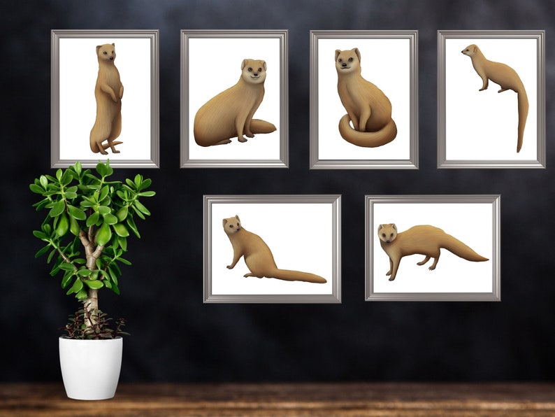 Yellow Mongoose Art Print African Wildlife Poster Realistic Animal ...