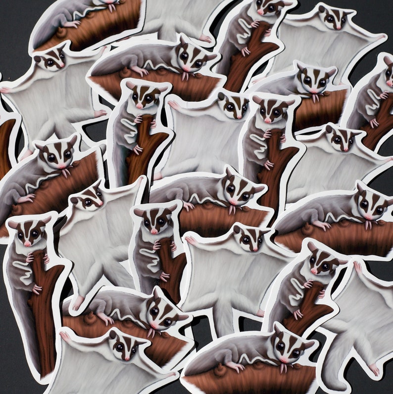Sugar Glider Sticker Pack Cute Animal Decals Waterproof Vinyl - Etsy