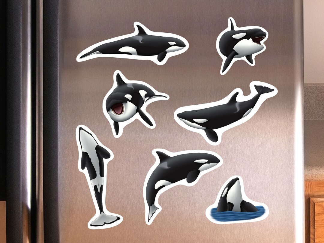 Orca Magnets Killer Whale Magnet Pack 7 Pcs Orca Home - Etsy
