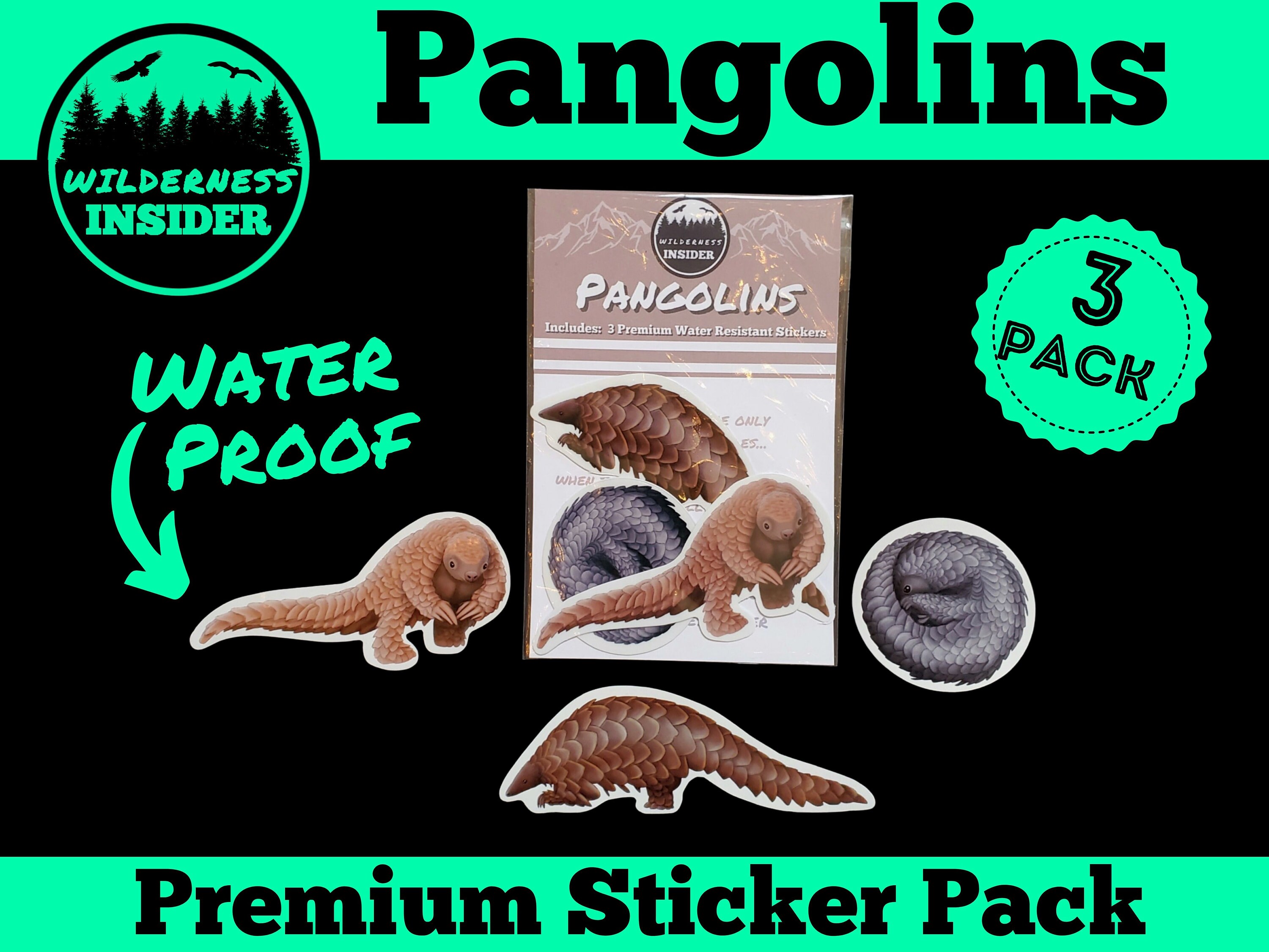 Pangolin Sticker Pack Endangered Animal Decals Conservation - Etsy