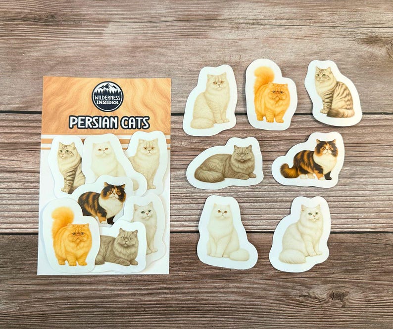 Persian Cat Stickers Vinyl Decals Waterproof Feline Stationery Gift for ...