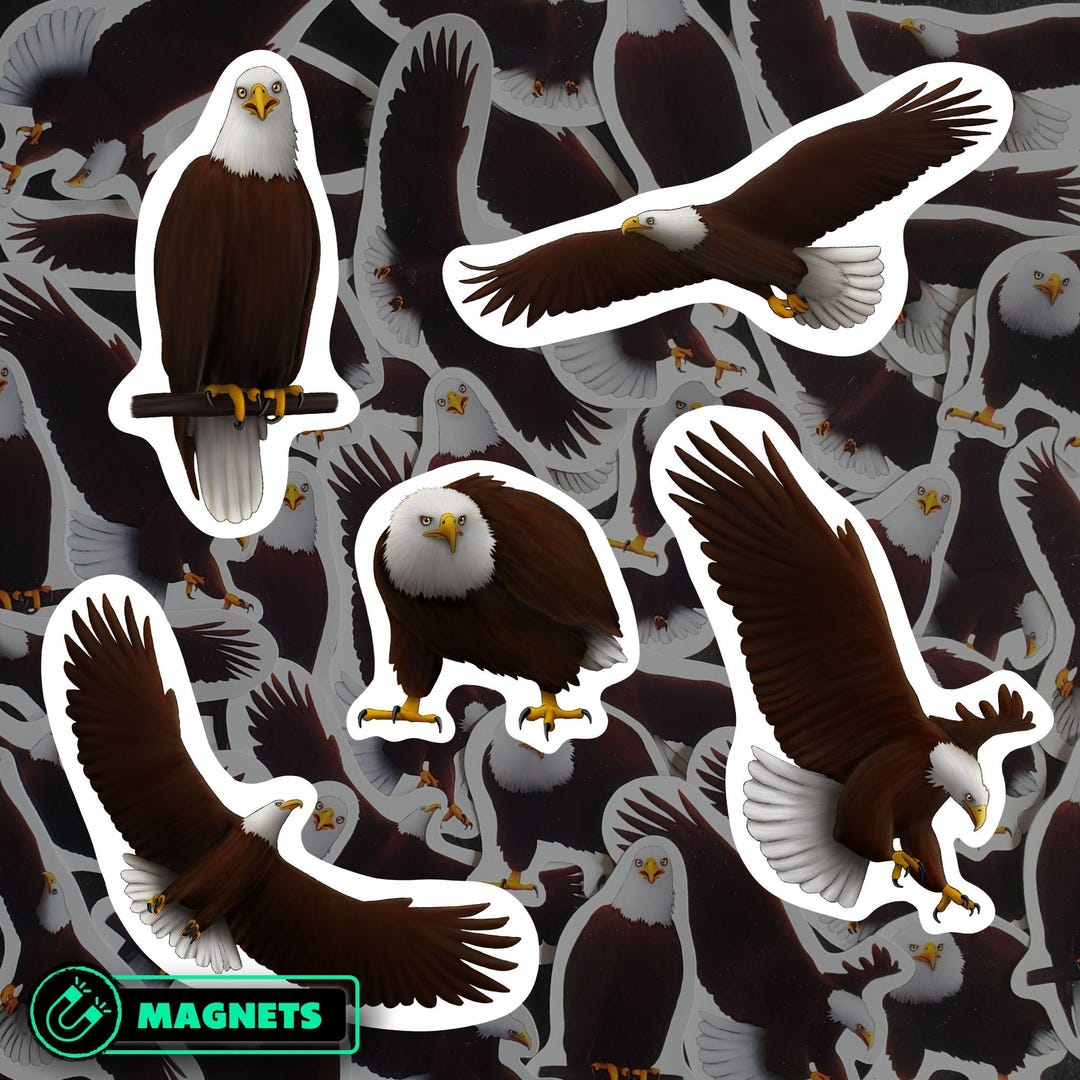 Bald Eagle Magnet Set Waterproof Vinyl Bird of Prey Magnets for ...