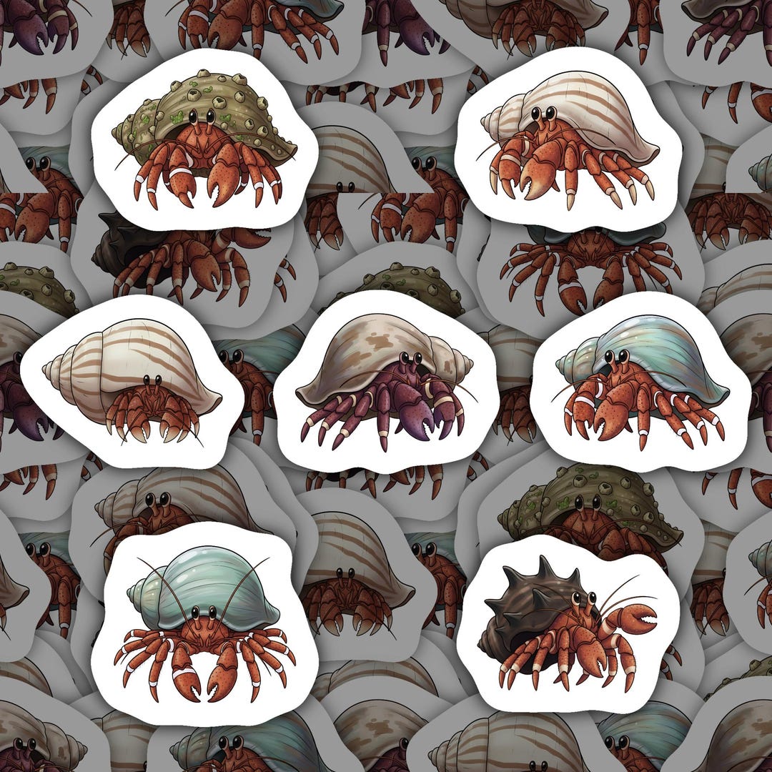 Hermit Crab Stickers Vinyl Decals Waterproof Ocean Animal Stationery ...