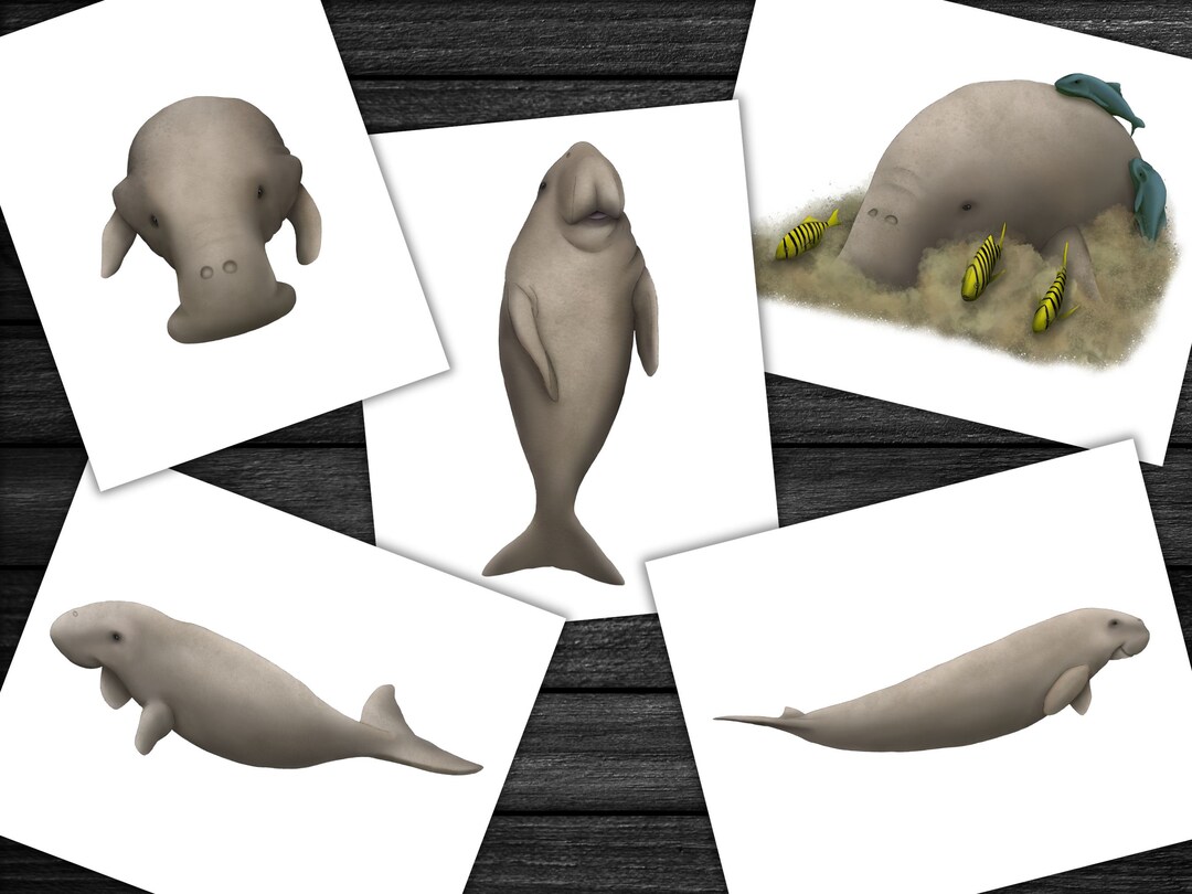 Dugong Art Prints Sea Cow Illustration Marine Mammal Decor Coastal ...