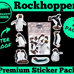 Rockhopper Penguin Sticker Pack Antarctic Wildlife Decals - Etsy